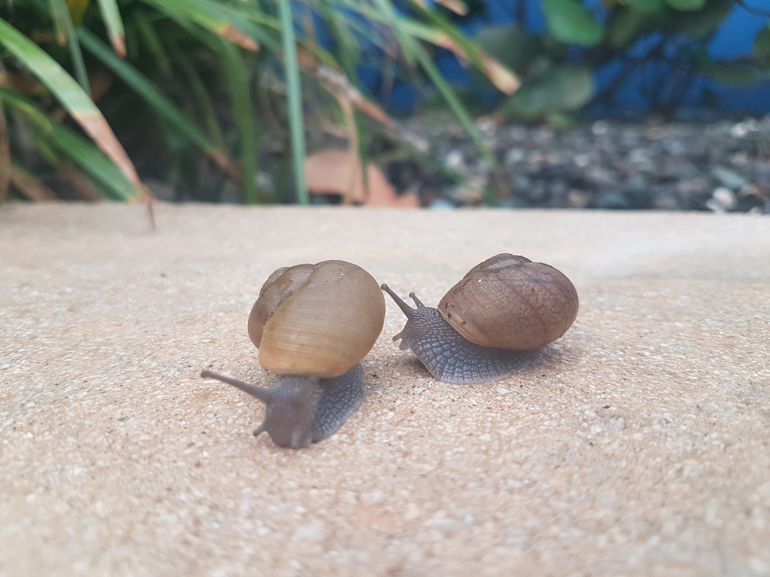 Suddenly Slow As Snails Saturday | MarkD60's Third Time