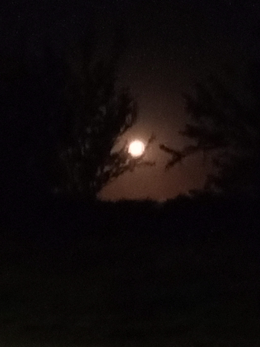Full Moon Phone Photo MarkD60 s Third Time Full Moon Phone Photo MarkD60 s Third Time